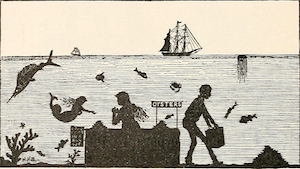 Penny Boxall | poet and writer